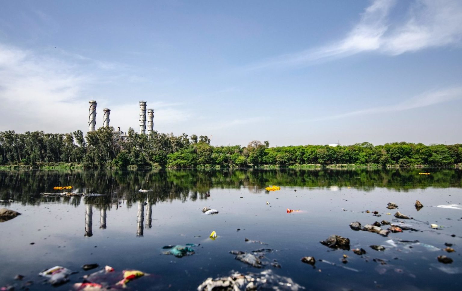 Podcast: From Radiation To Water Pollution To Cities, Humans Are Now A ...